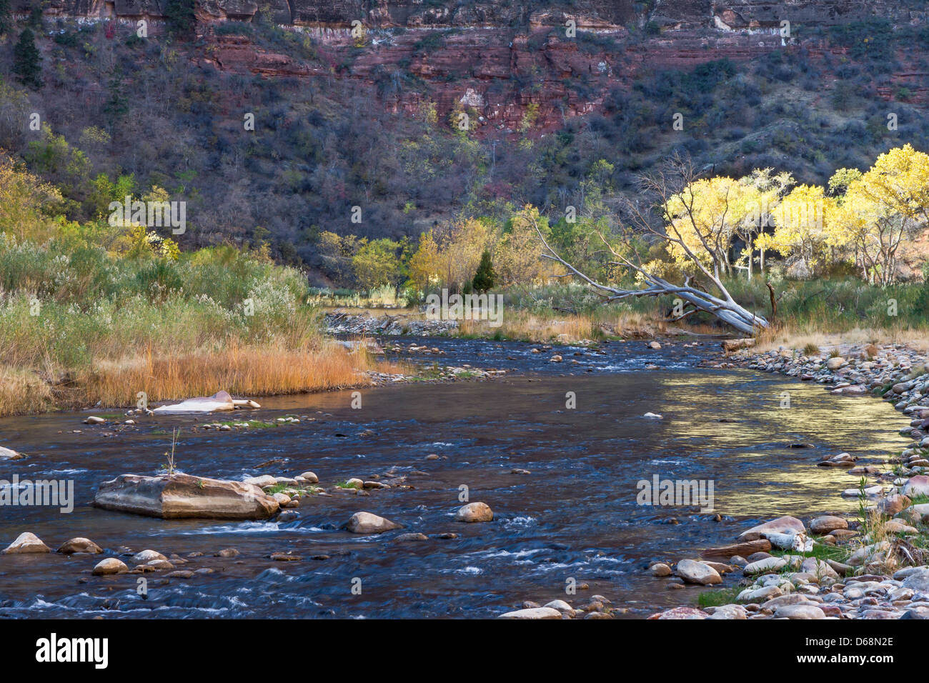 Zion national park autumn reflections hi-res stock photography and ...