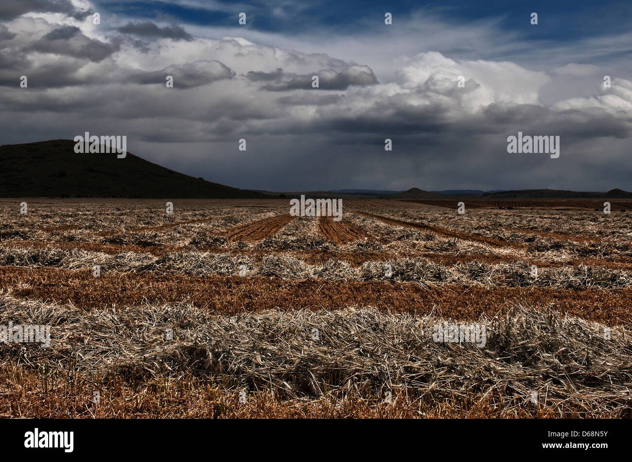 Dramatic photos hi-res stock photography and images - Alamy