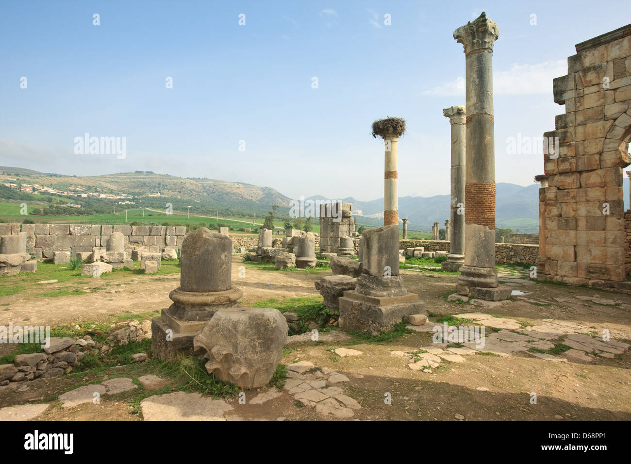 the ruins of Volubilis Capitol Stock Photo - Alamy