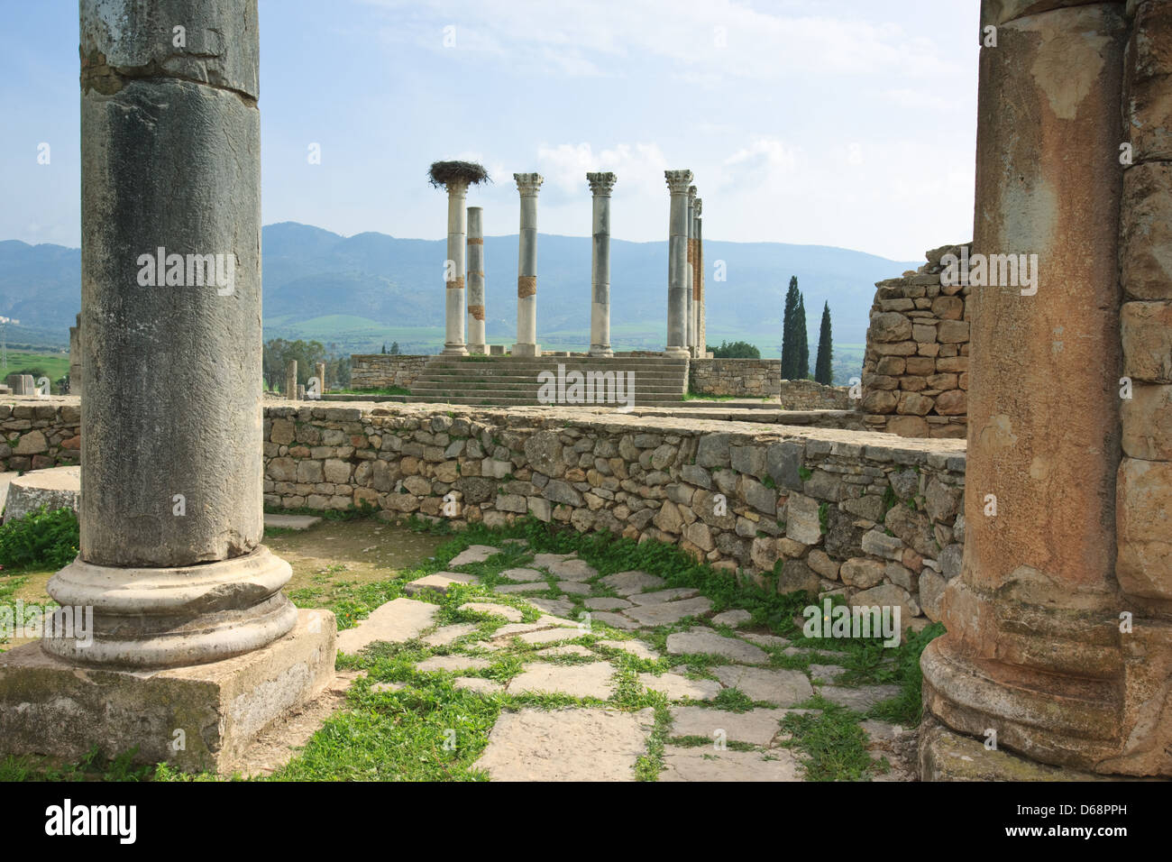 the ruins of Volubilis Capitol Stock Photo - Alamy
