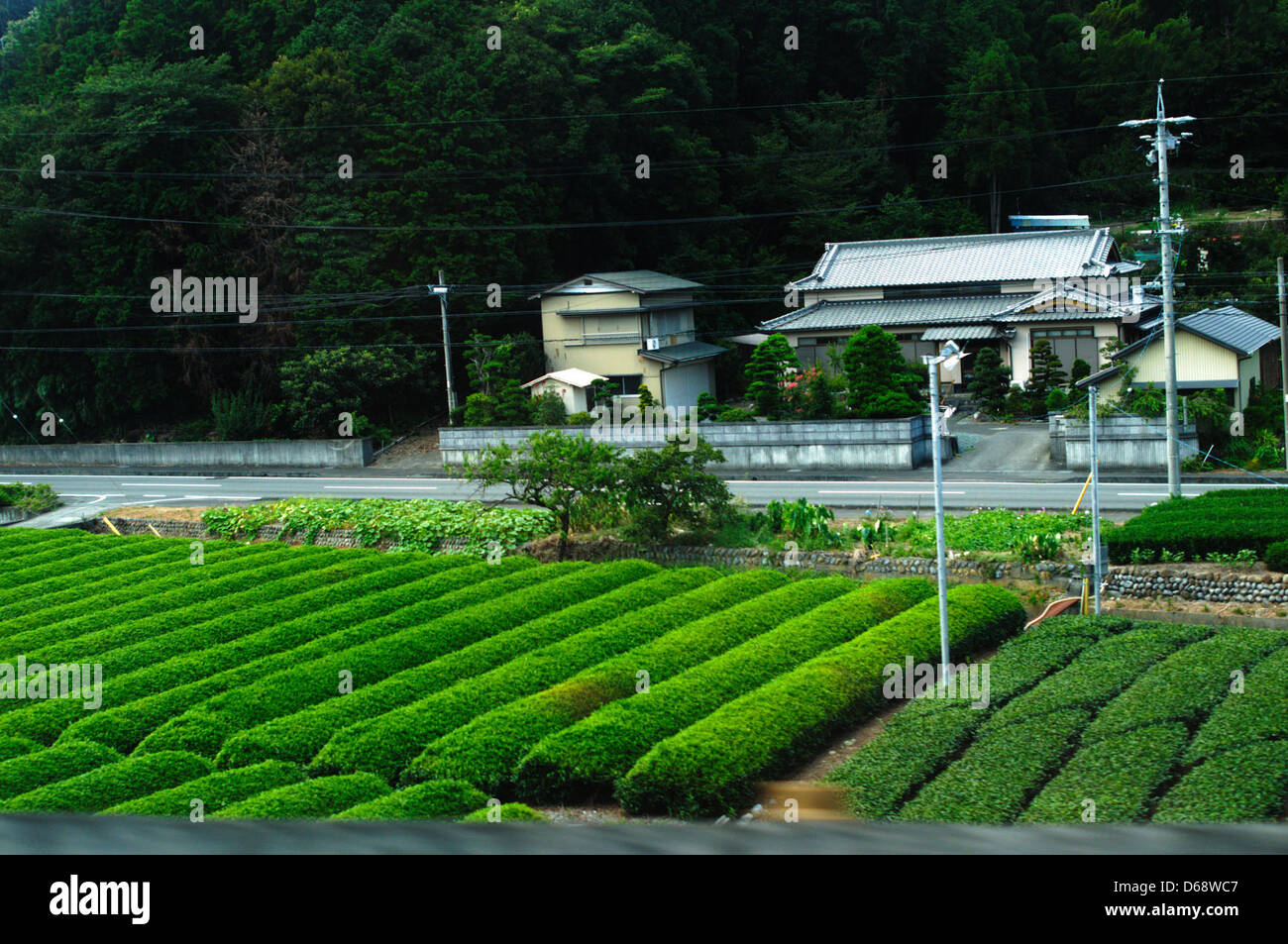 Tetsu japan hi-res stock photography and images - Alamy