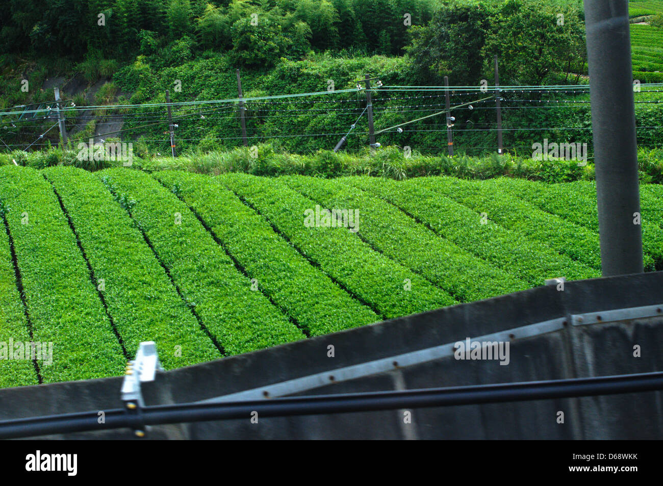Tetsu hi-res stock photography and images - Alamy
