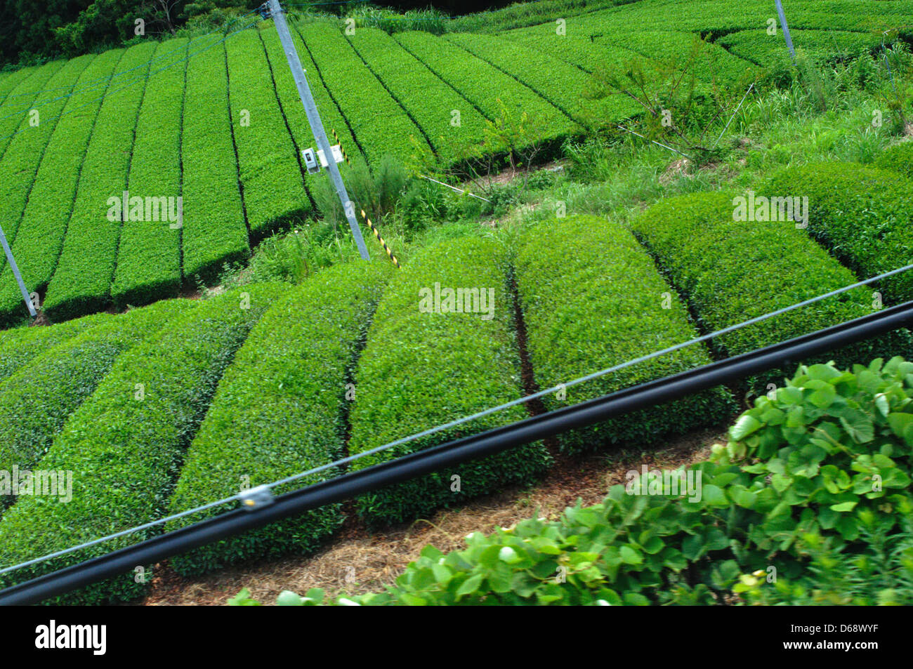 Tetsu japan hi-res stock photography and images - Alamy