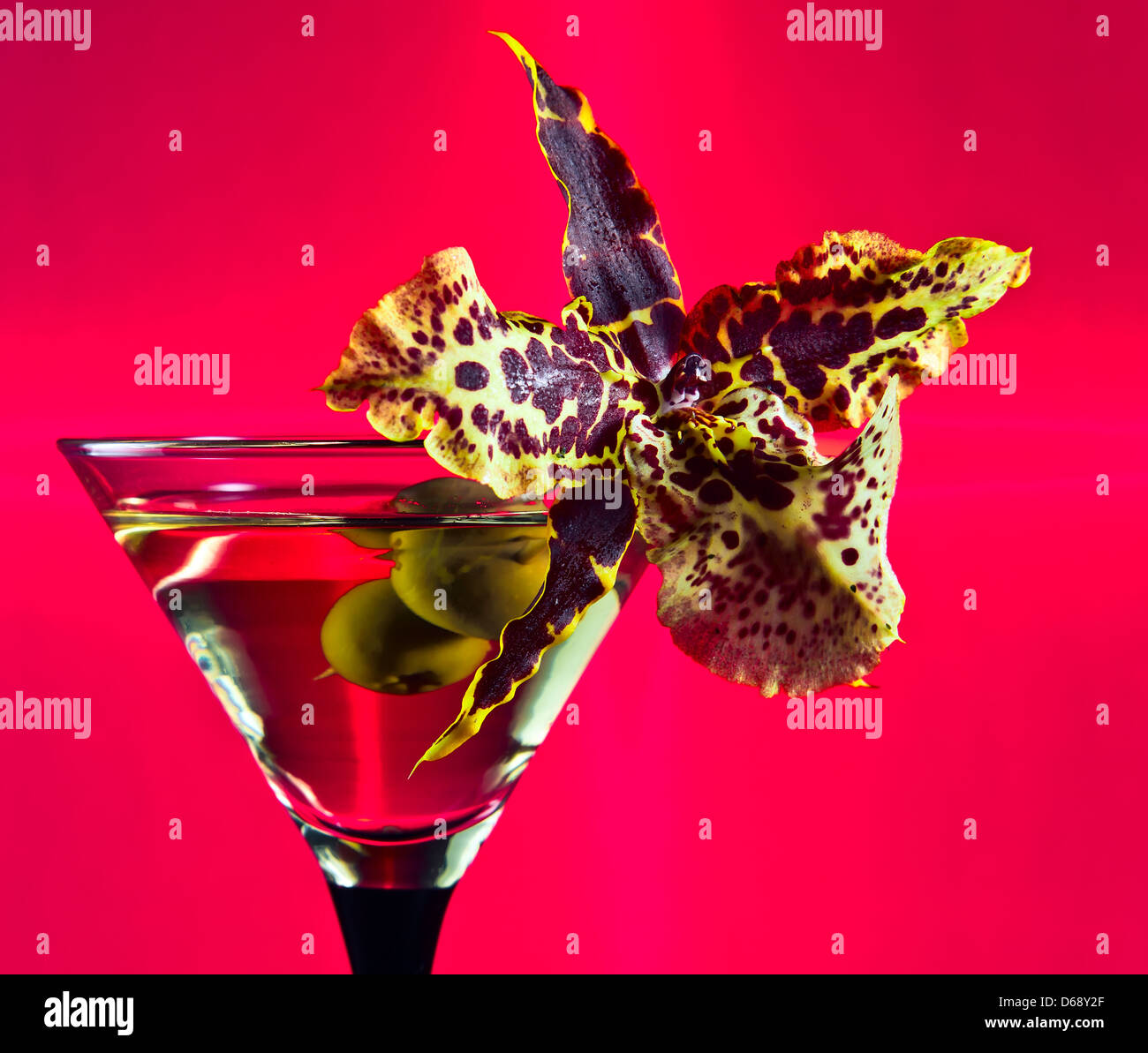 martini , green olives and orchid flower on a red background Stock ...