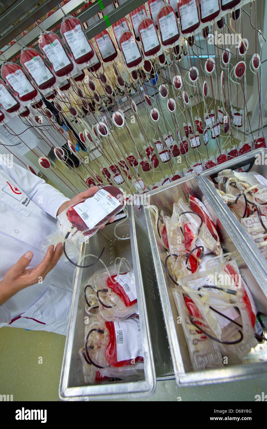 Red blood cells production hi-res stock photography and images - Alamy