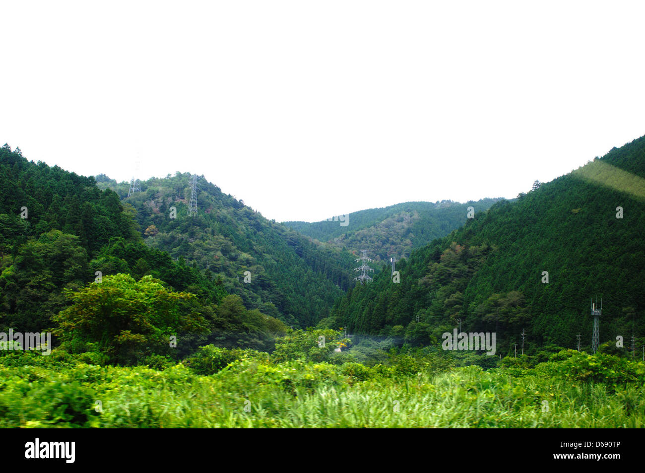 A scenic view of Gifu Prefecture, Japan, showcasing the greenery and ...