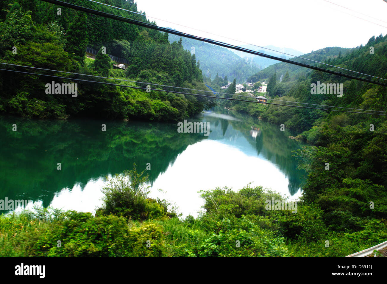 Greenscale hi-res stock photography and images - Alamy