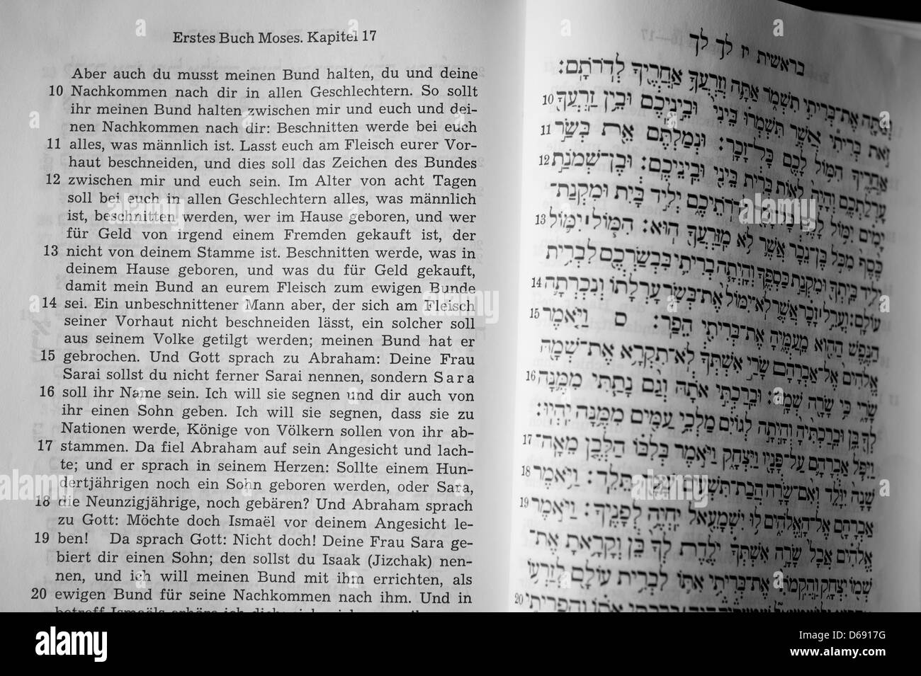 Tthe first book of Moses (Chapter 17) is pictured in German (L) and ...