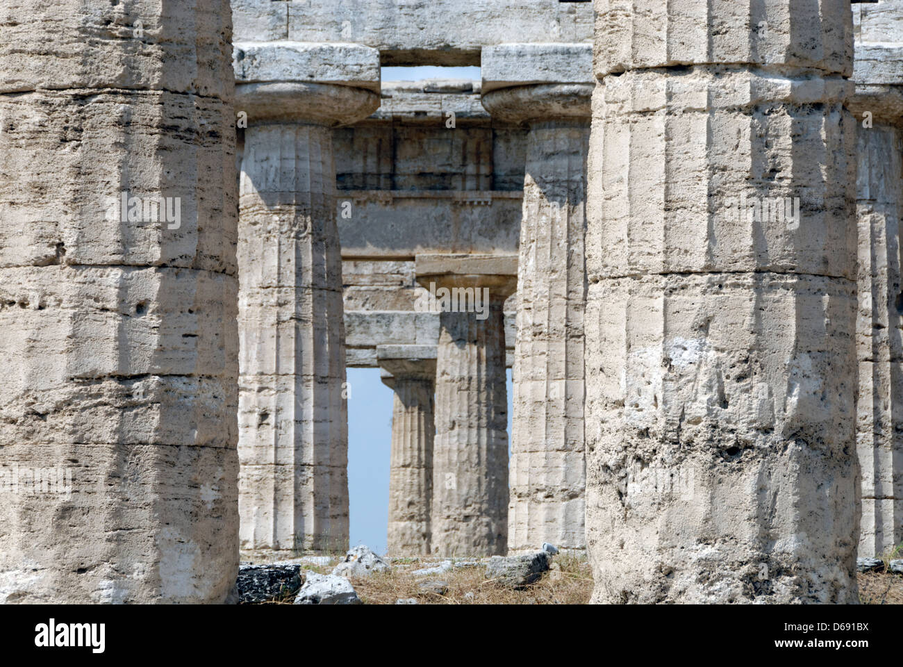 Paestum Italy. Close-up view of limestone columns from the Temple of ...