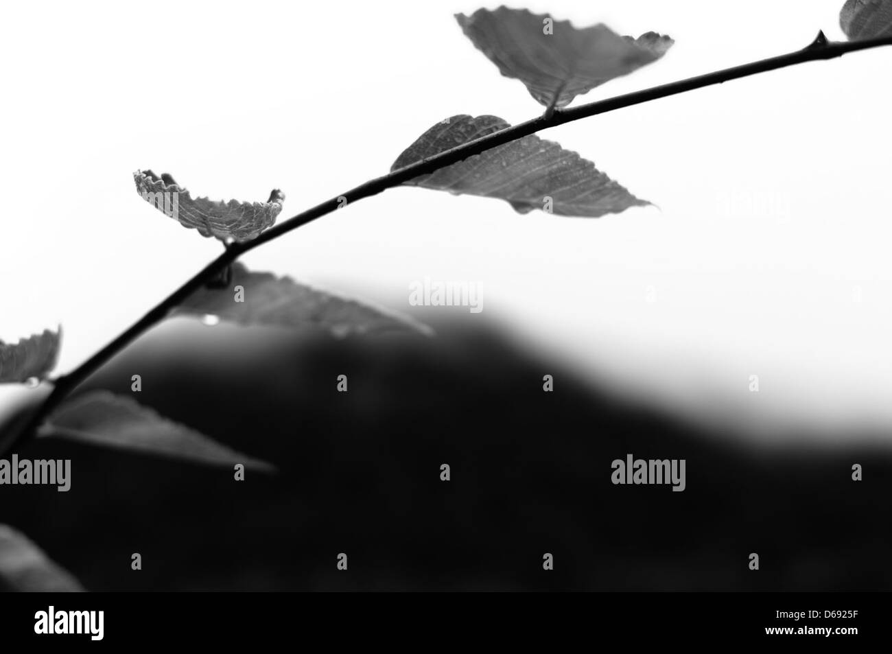 Shirakawamura High Resolution Stock Photography and Images - Alamy