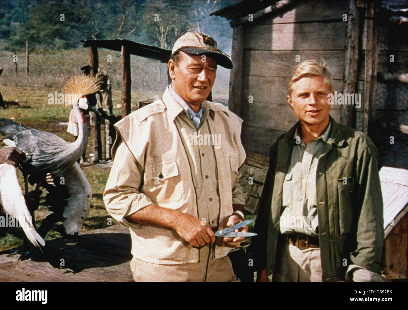 JOHN WAYNE & HARDY KRUGER HATARI! (1962 Stock Photo: 55518587 - Alamy