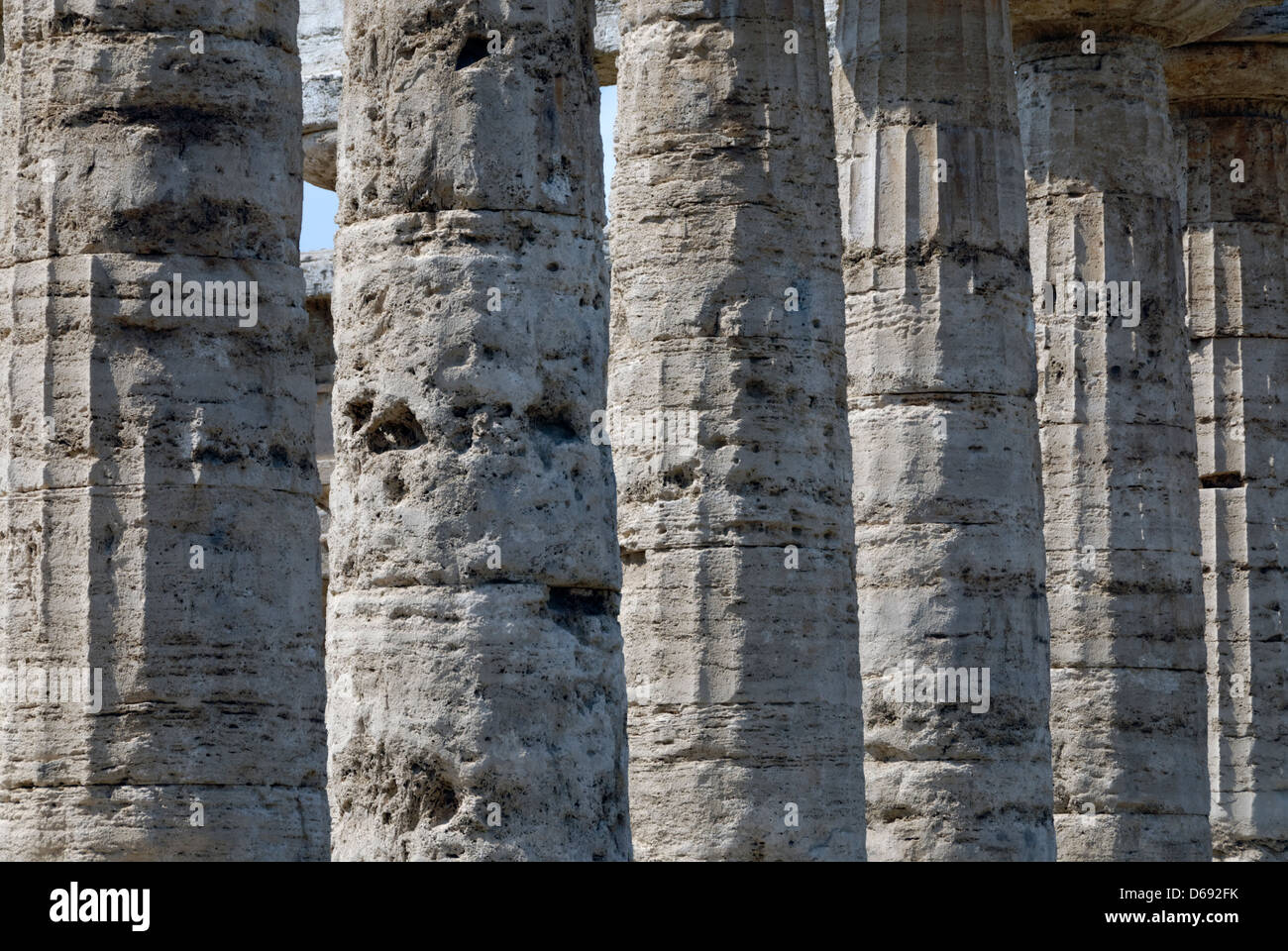 Paestum Italy. Close-up view of limestone columns from the Temple of ...