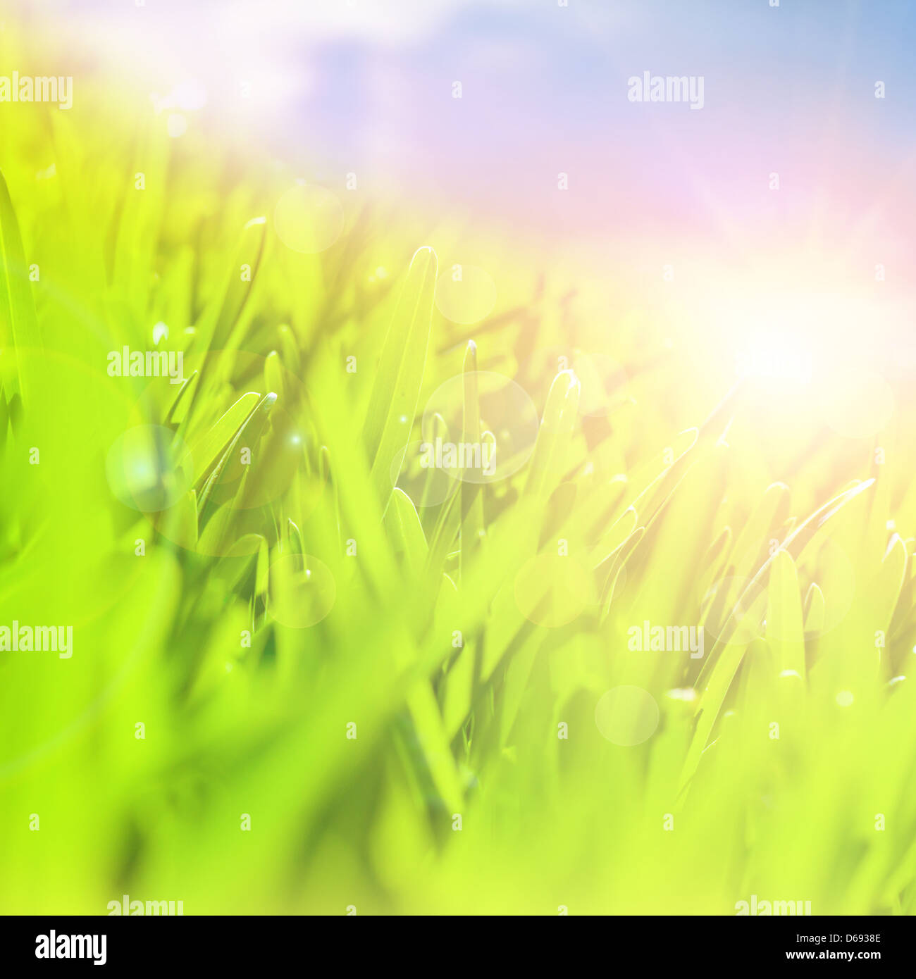 Beautiful fresh green grass field with bright sun shine, natural ...