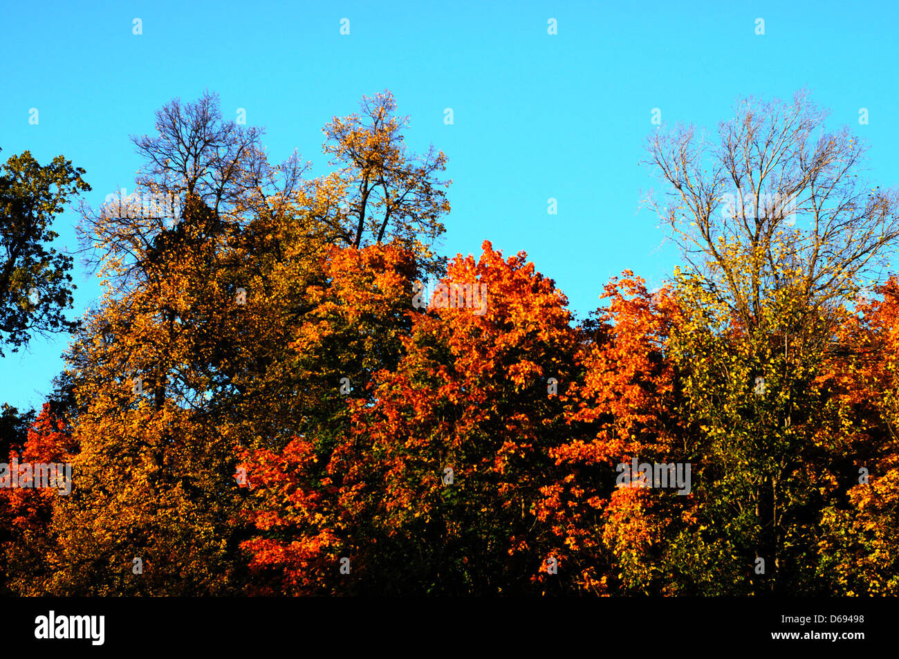 High hopes hi-res stock photography and images - Alamy