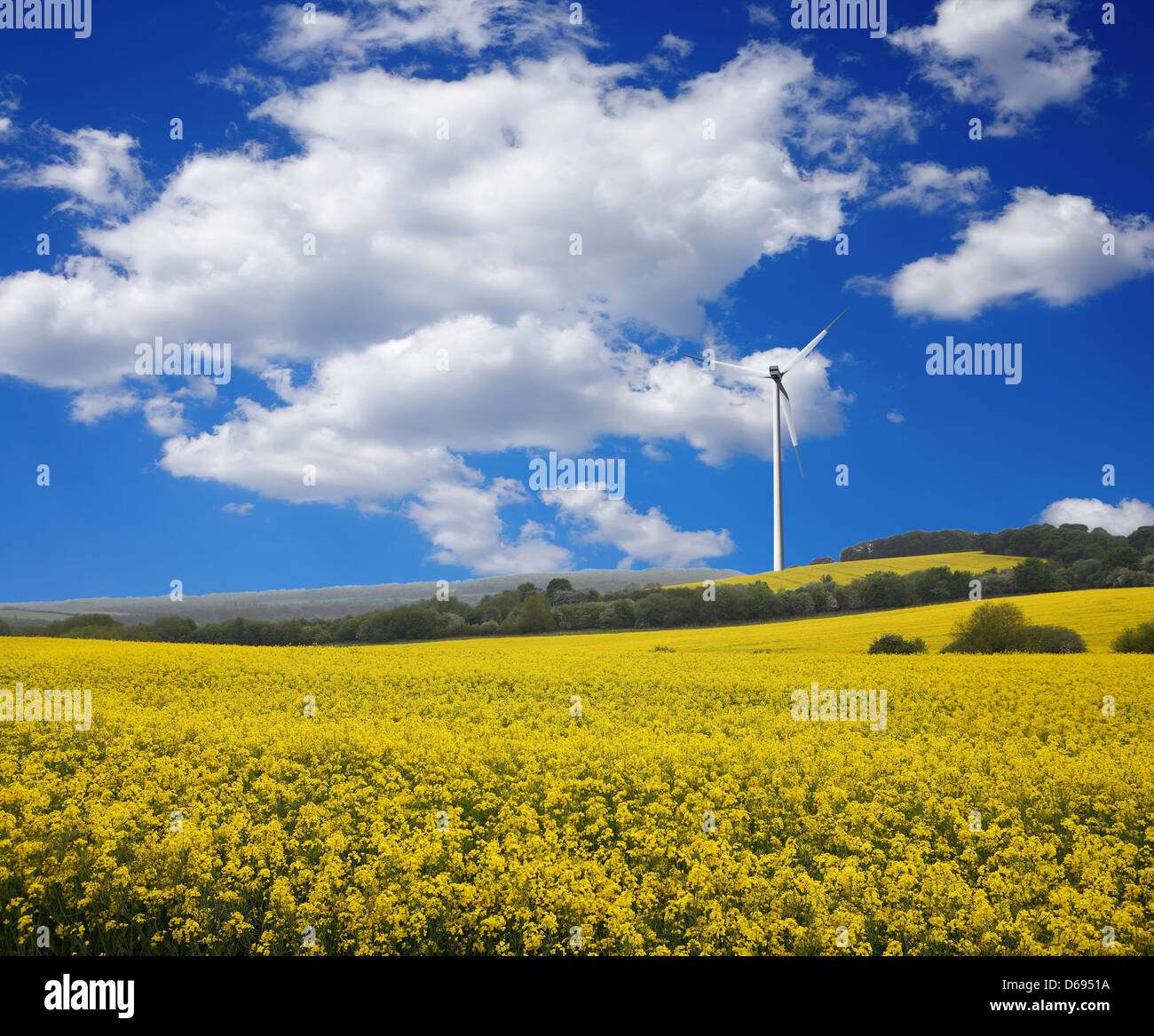 Coexistence hi-res stock photography and images - Alamy