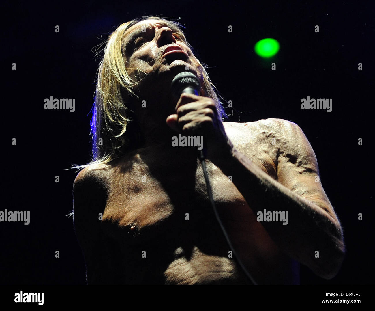 US singer Iggy Pop performs on stage with the band The Stooges at the ...