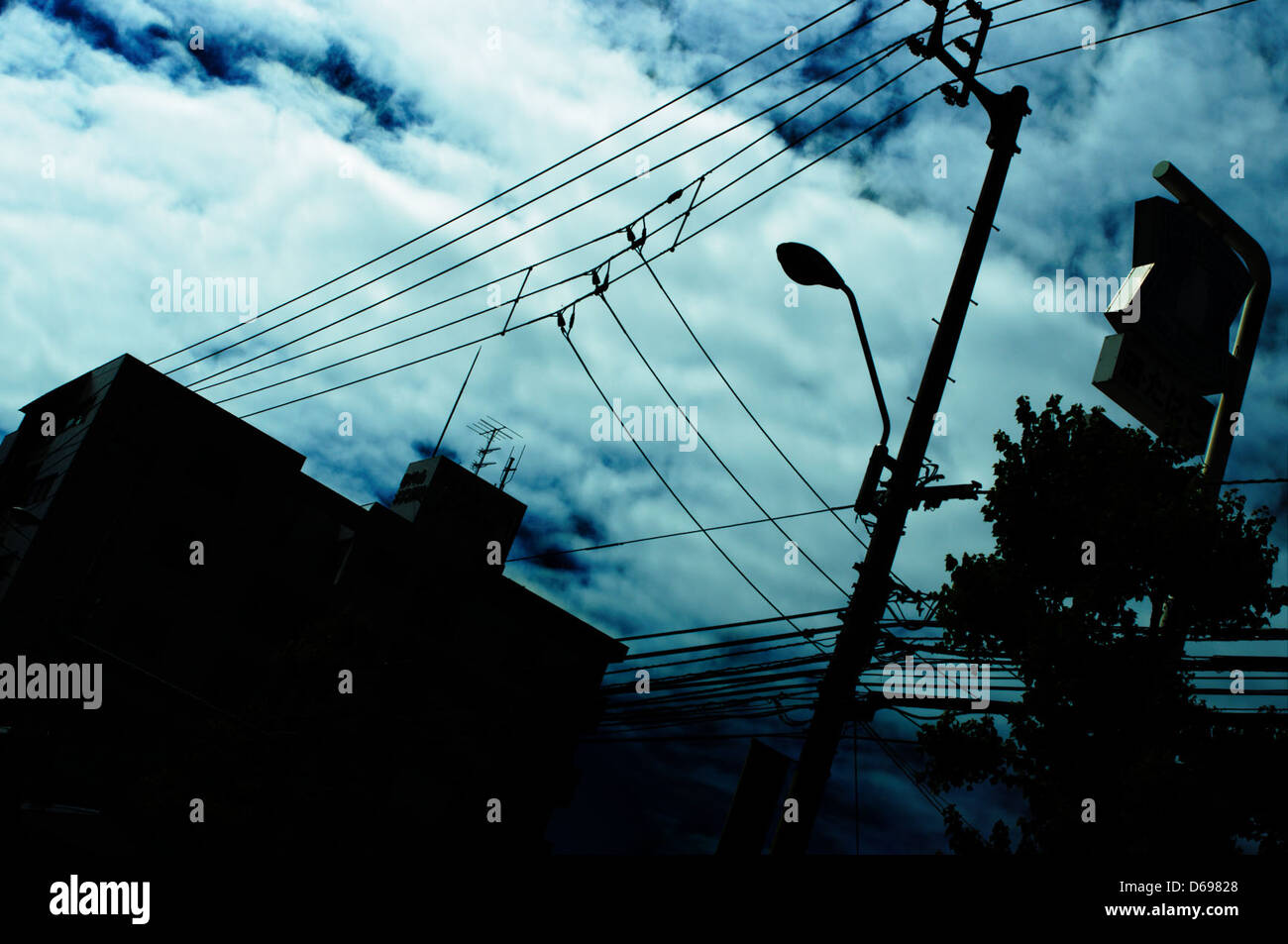 A dark-themed photograph taken with a Nikkor 35mm f/1.4 AI-S lens on a ...