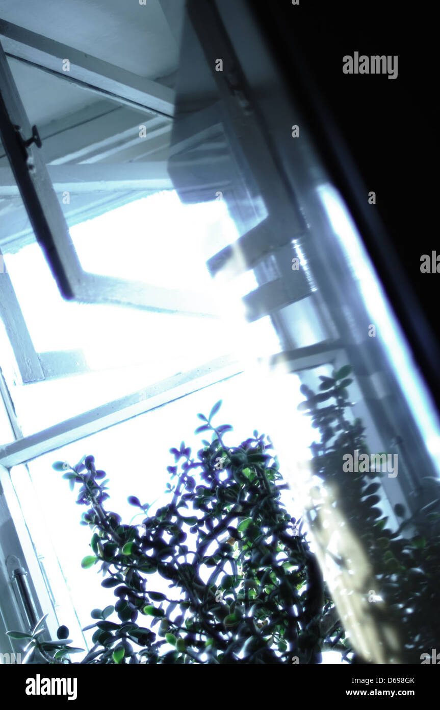 This experimental photo showcases the optical phenomenon of a double ...