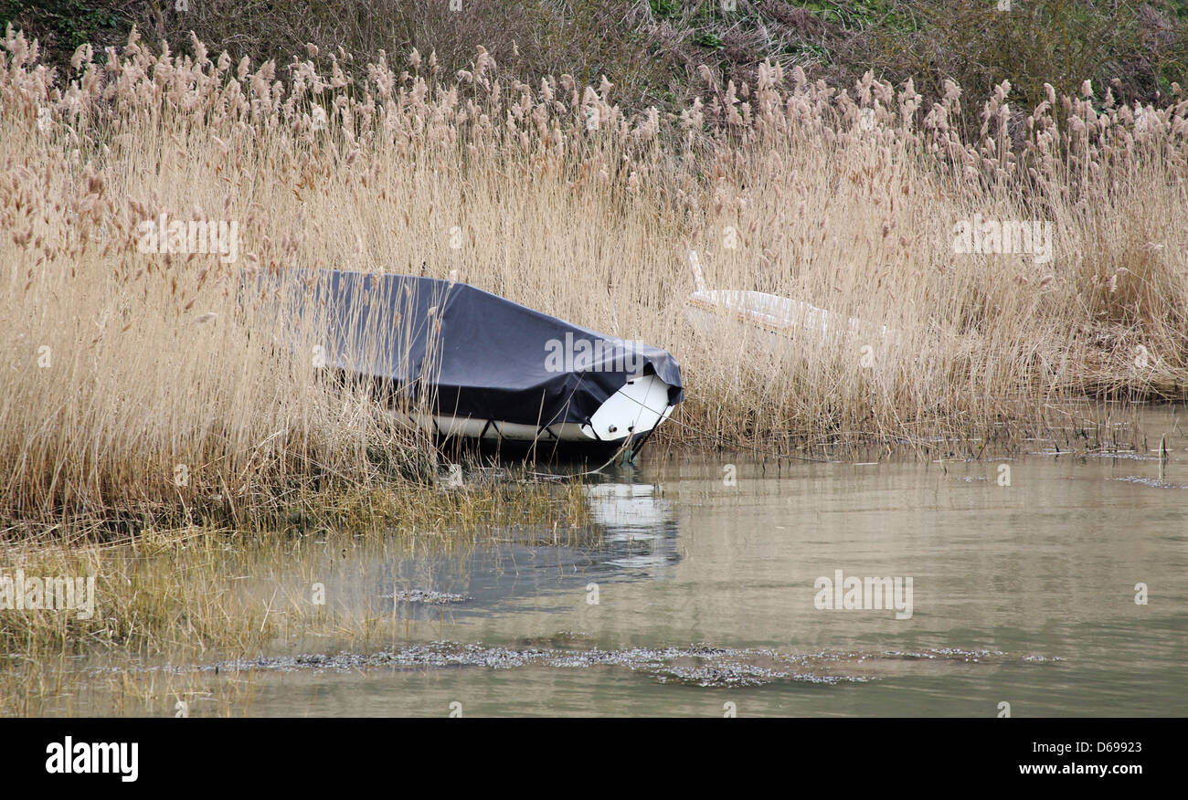 ramsholt on the suffolk coast Stock Photo - Alamy