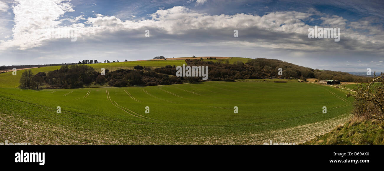 South downs way bignor hill hi-res stock photography and images - Alamy