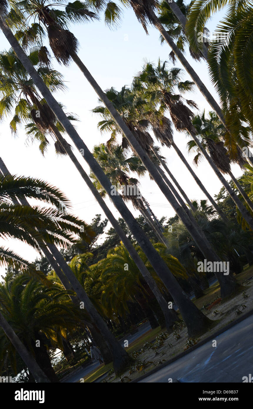 No attribution required hi-res stock photography and images - Alamy