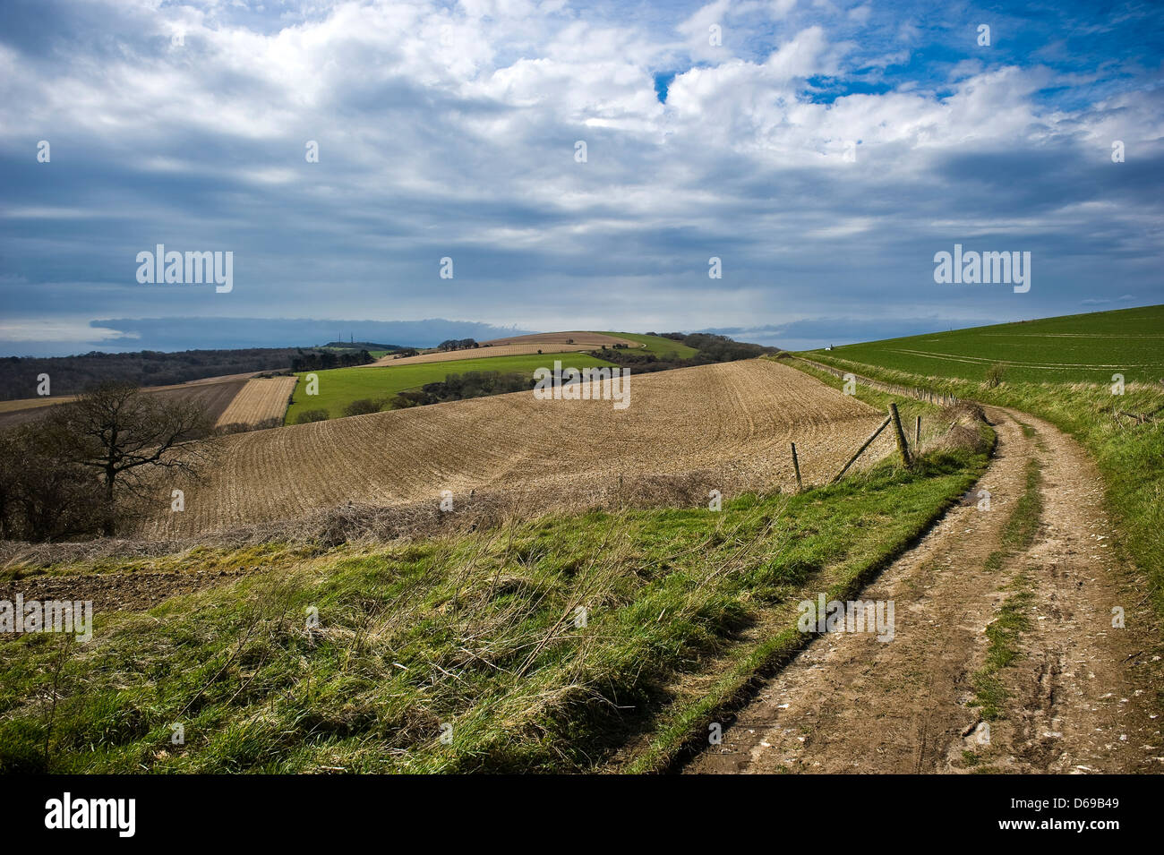 The South Downs Way near Bignor Hill, West Sussex, UK Stock Photo - Alamy