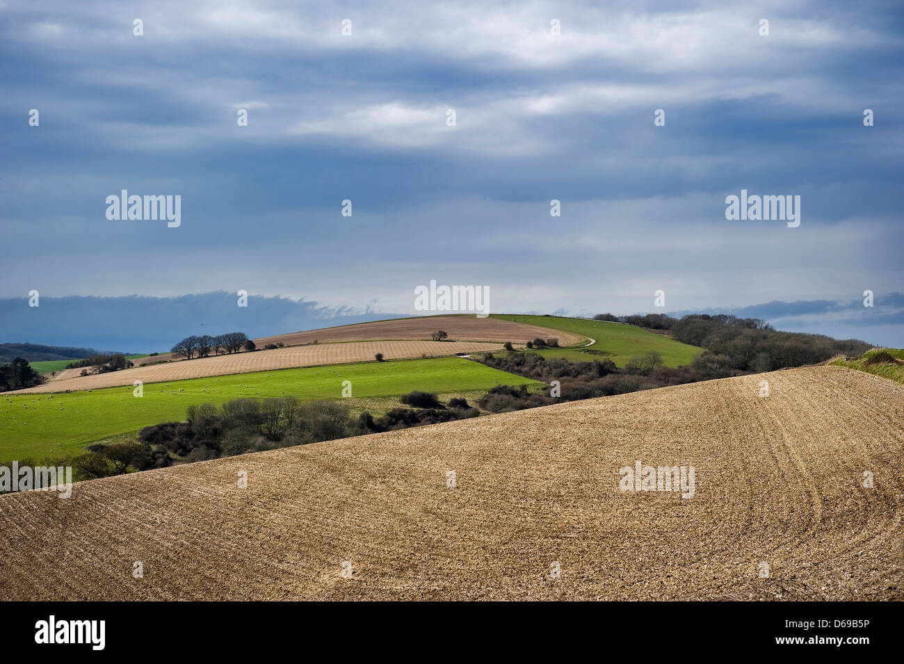 Bignor Hill on the South Downs Way, West Sussex, UK Stock Photo - Alamy