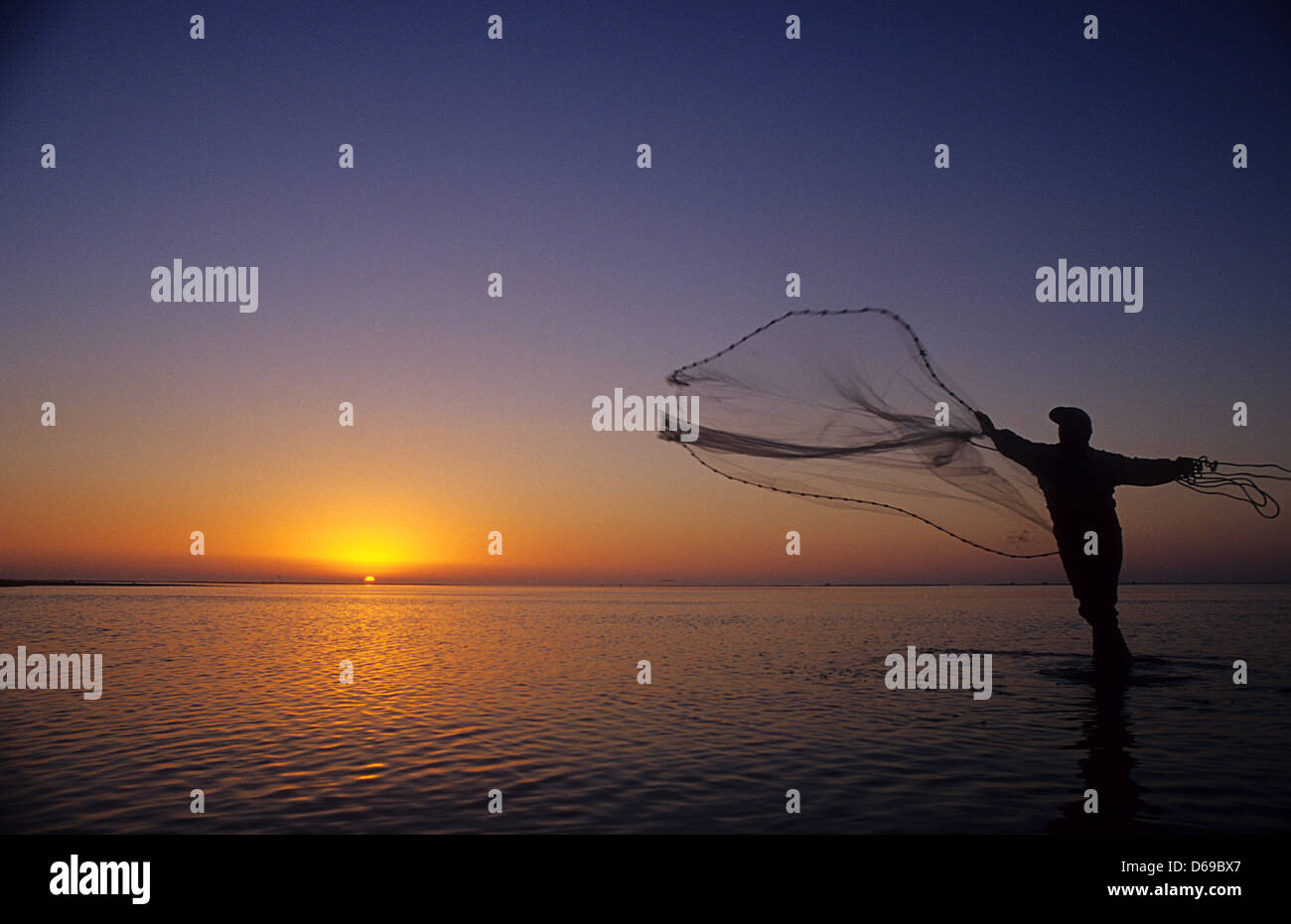A fisherman wading the shallow flats and throwing a cast net to catch ...