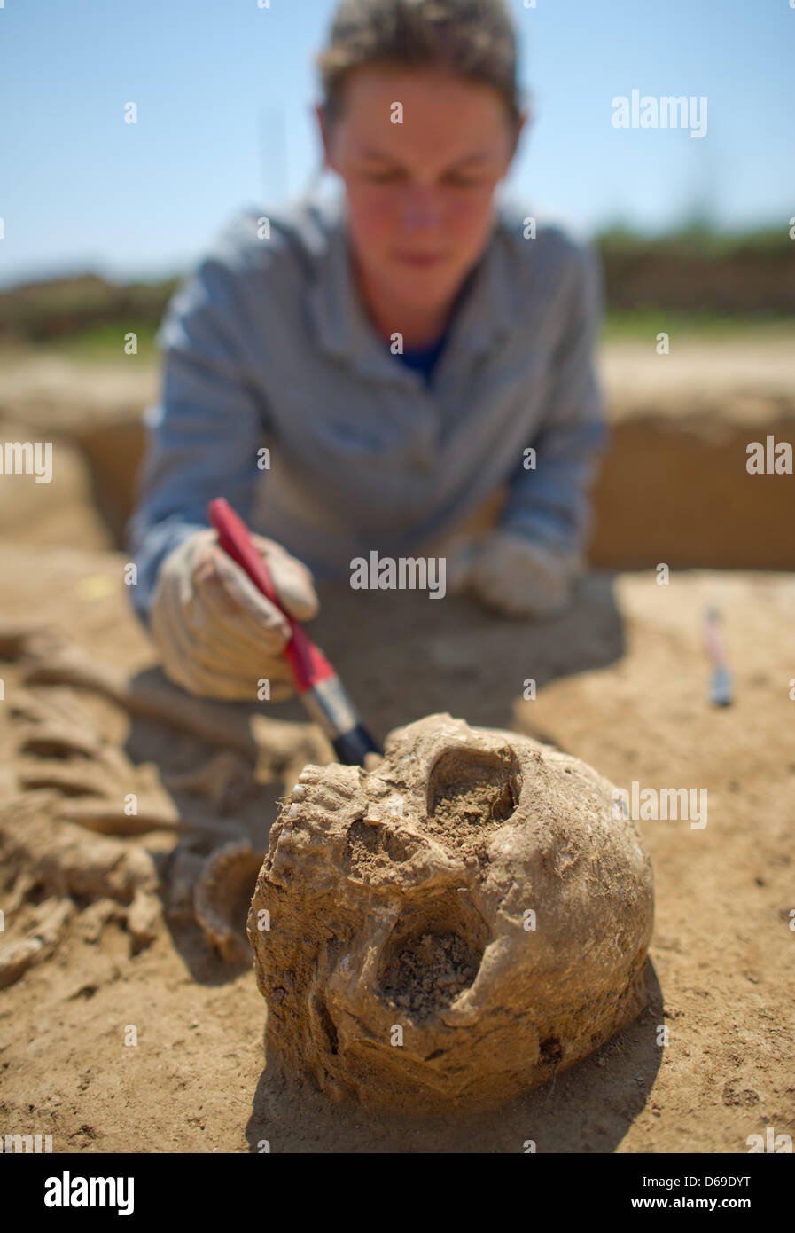 Archaeologists bones hi-res stock photography and images - Alamy