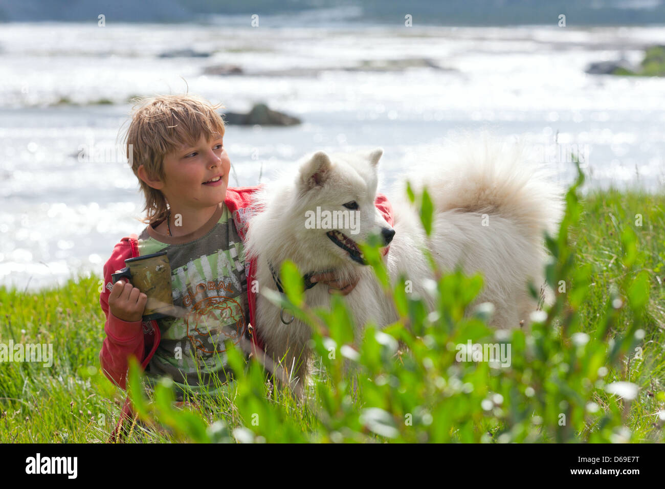A boy plays with a dog breed husky Stock Photo - Alamy