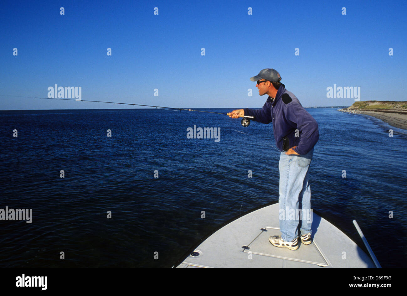 A fly fisherman casting for striped bass and bluefish at Cape Cod ...
