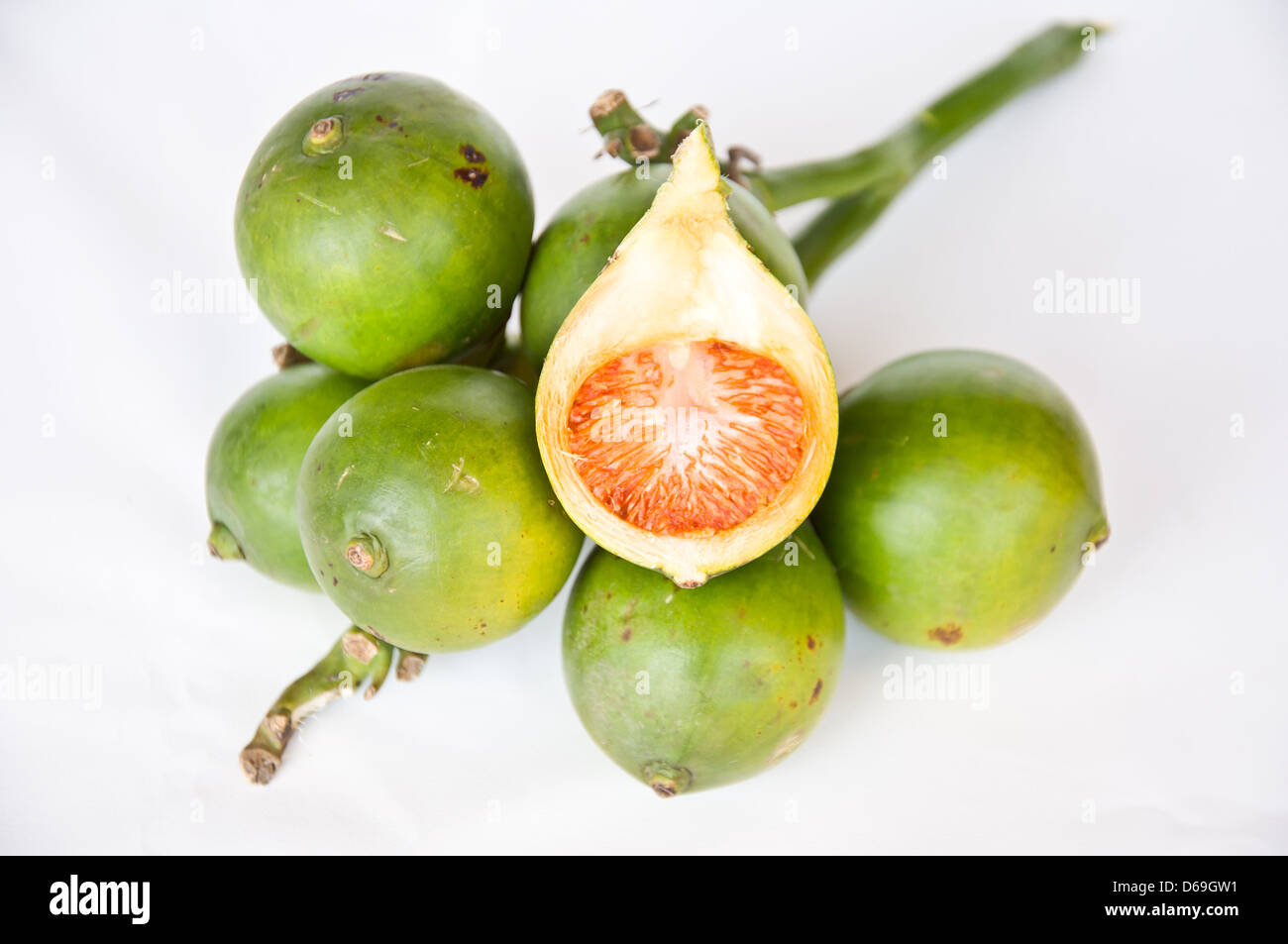 Betel palm on white background Stock Photo - Alamy