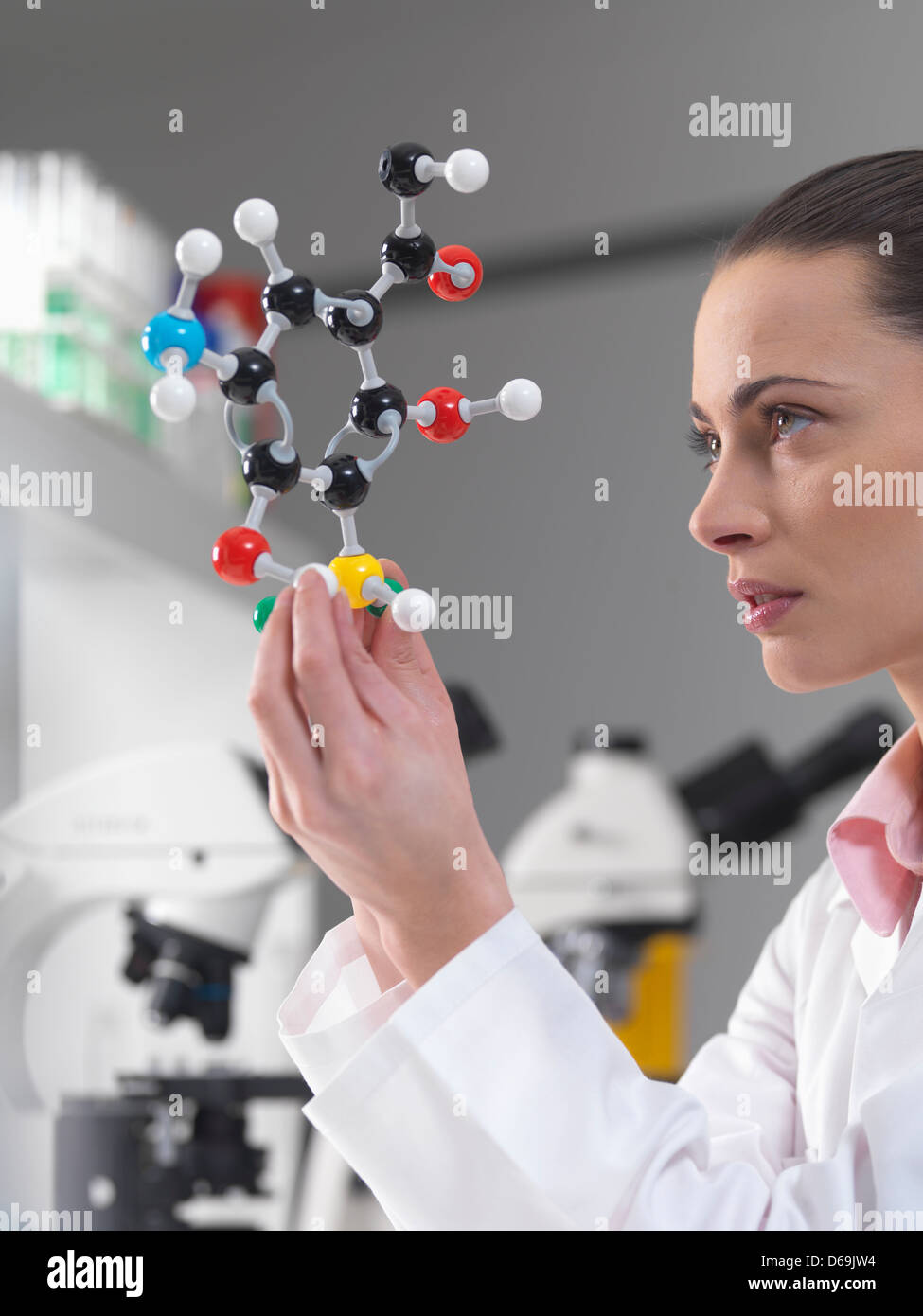Scientist examining molecular model Stock Photo - Alamy