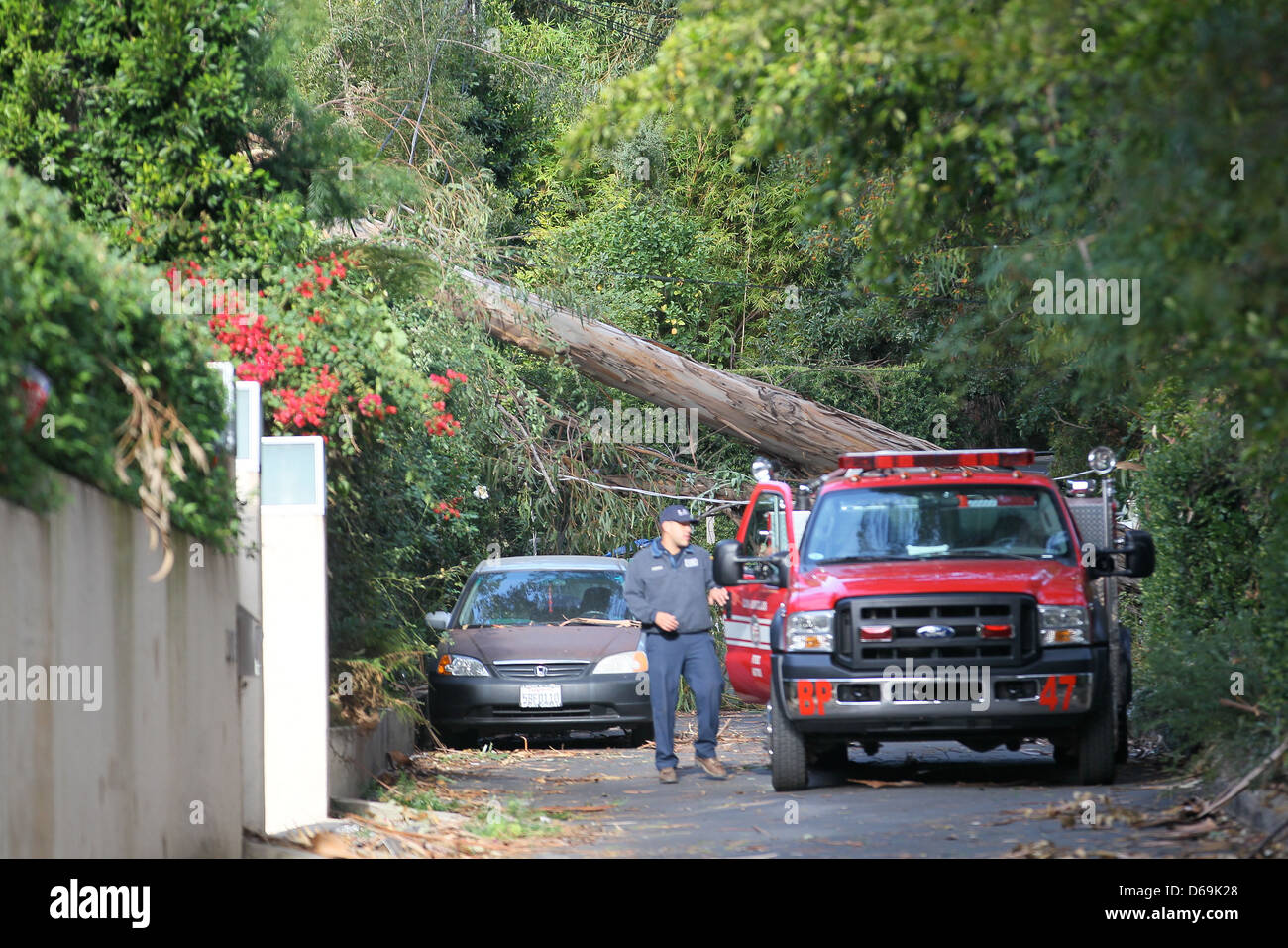 Eric Dane arrives home to find large tree has fallen and smashed into ...