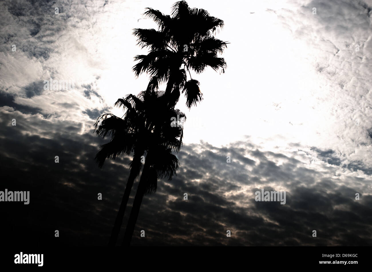 A vivid memory captured through a photograph depicting the aftermath of ...