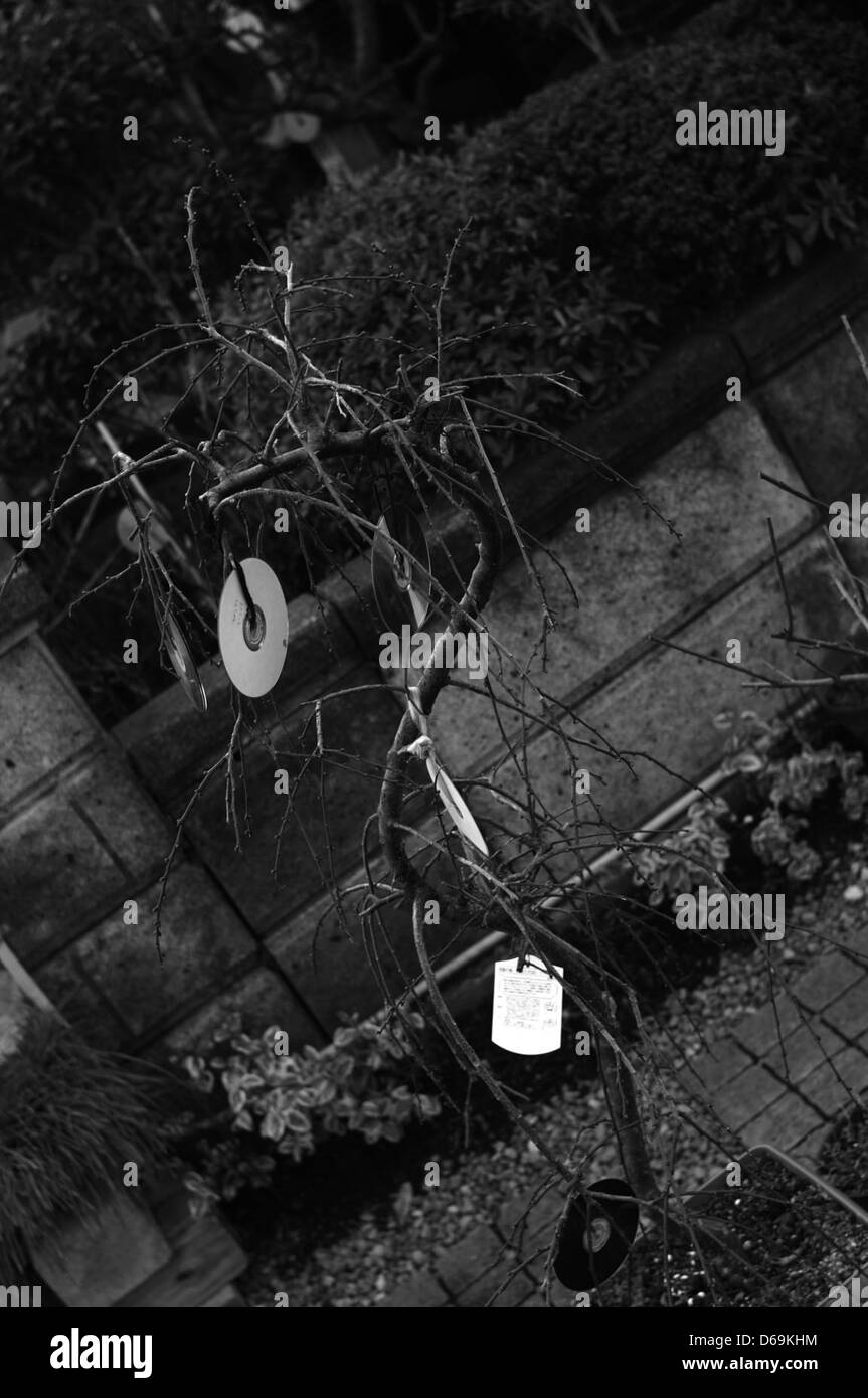 This image, captured using UFRAW, presents a raw photograph with ...