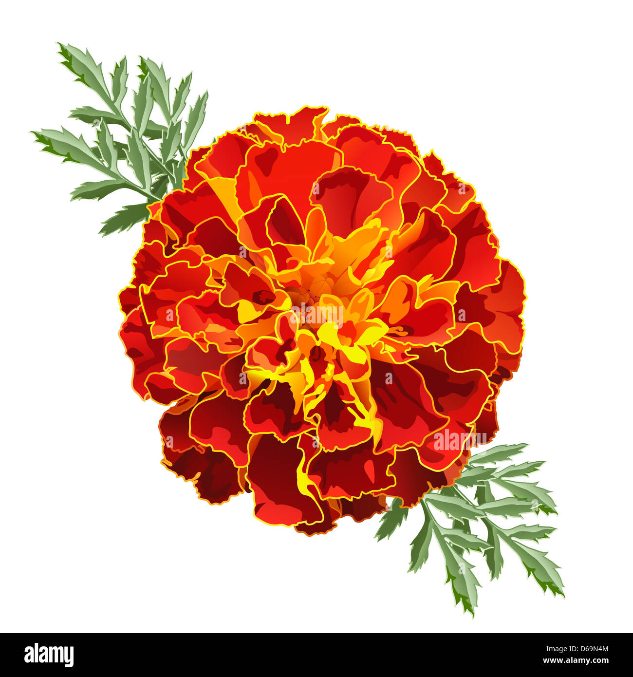 Gambar Koleksi Vicenza Motif Marigold