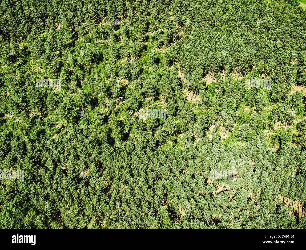 Aerial view of forest landscape Stock Photo - Alamy