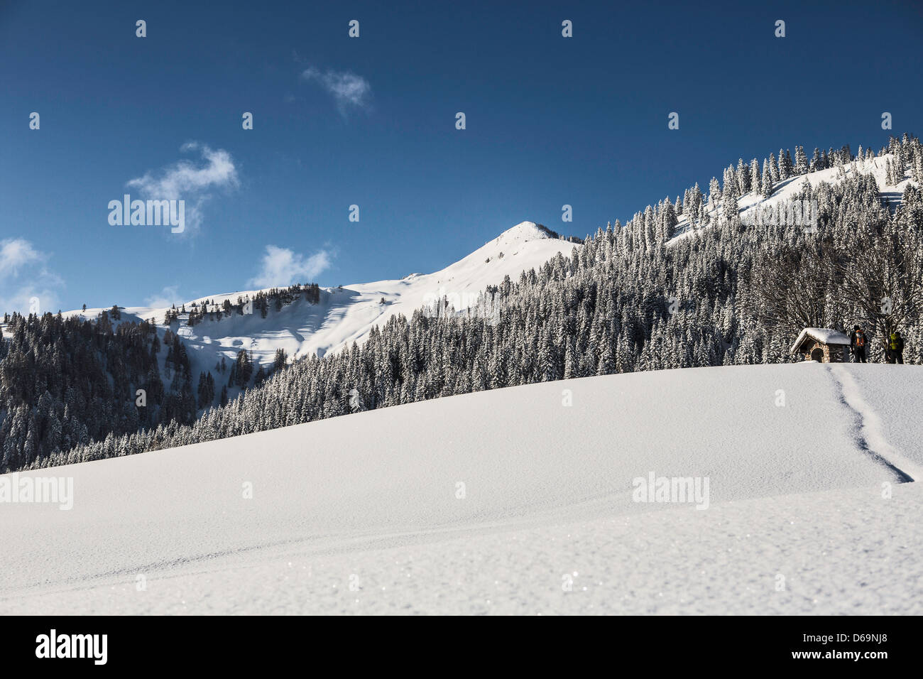 Mountainside cabin hi-res stock photography and images - Alamy