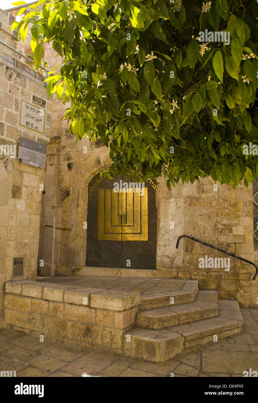 Blooming Orange tree in the Jewish quarter in Jerusalem.Israel Stock ...