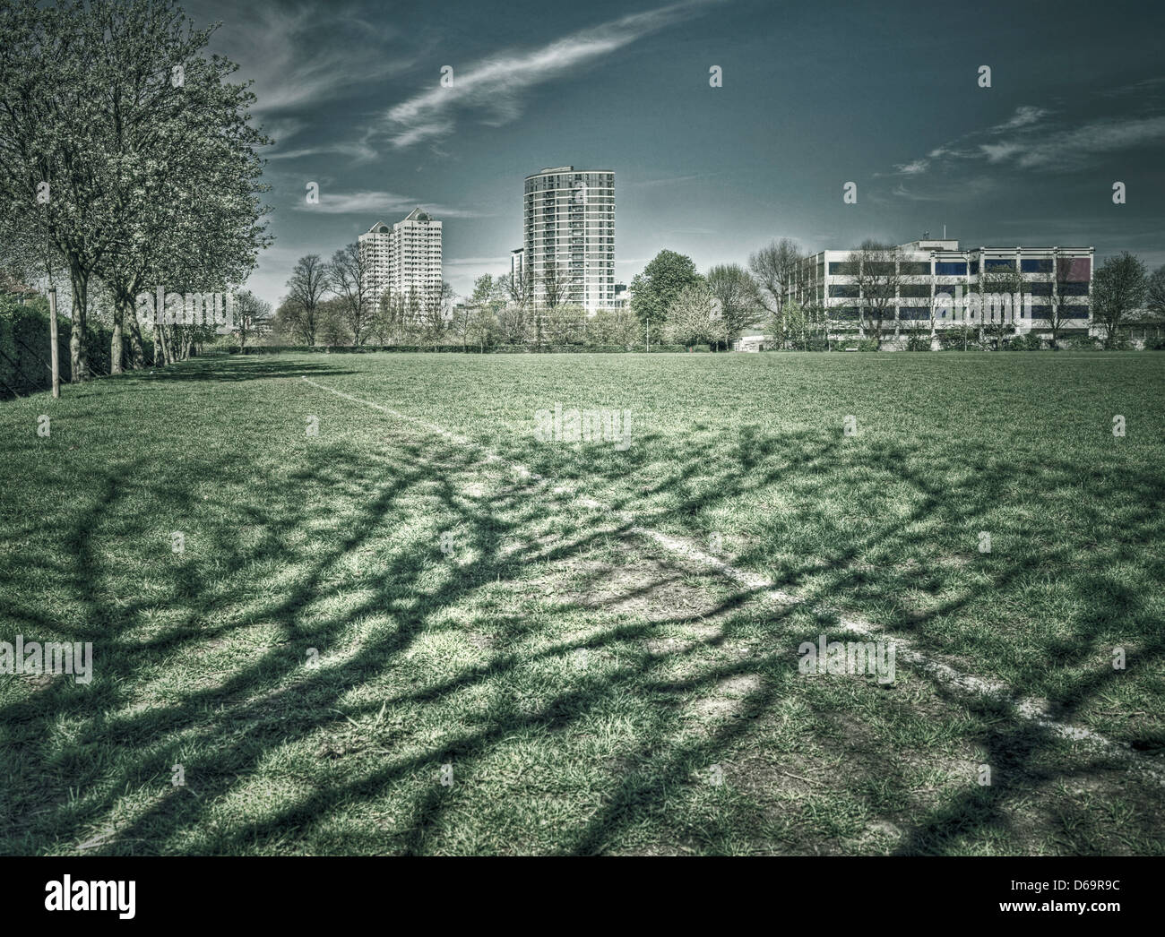 Trees casting shadows on grass in park Stock Photo - Alamy