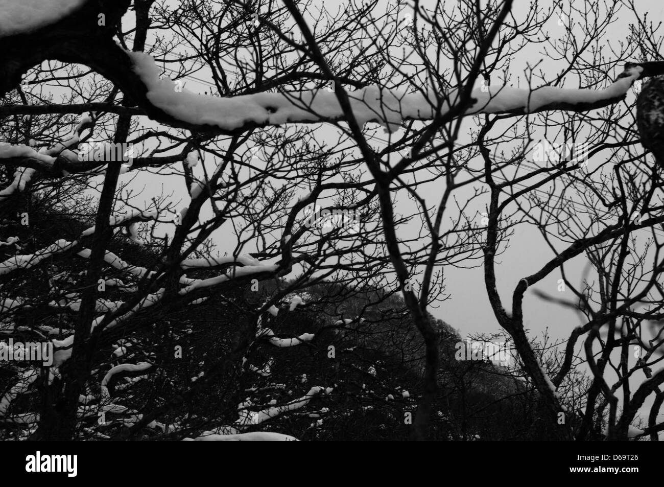 Quiet open space Black and White Stock Photos & Images - Alamy