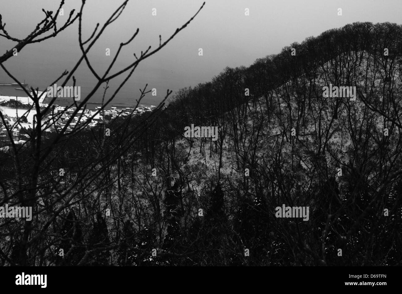 Outdoor scene japan Black and White Stock Photos & Images - Alamy