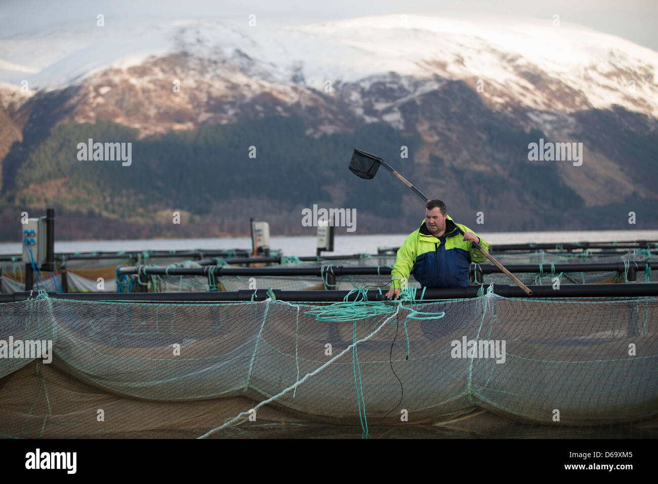 Worker on salmon farm in rural lake Stock Photo - Alamy