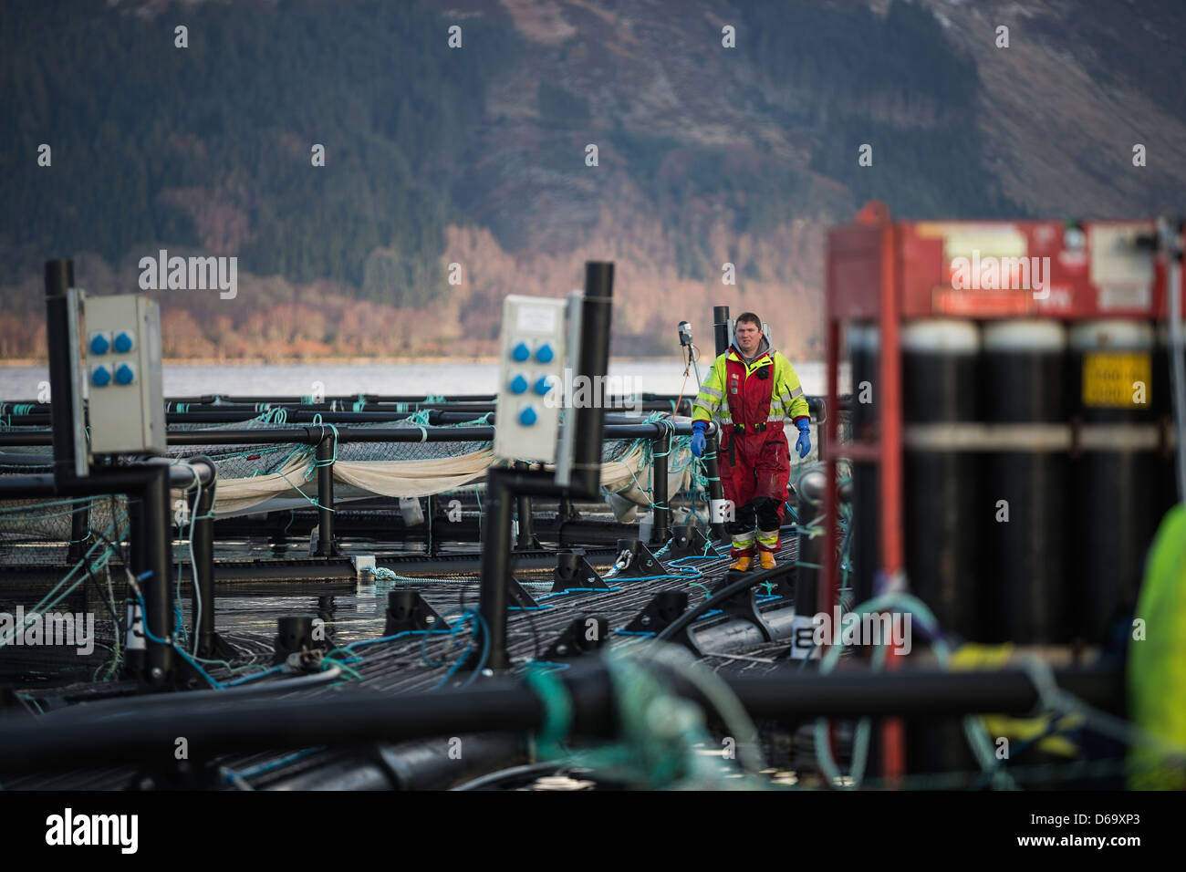 Worker on salmon farm in rural lake Stock Photo - Alamy