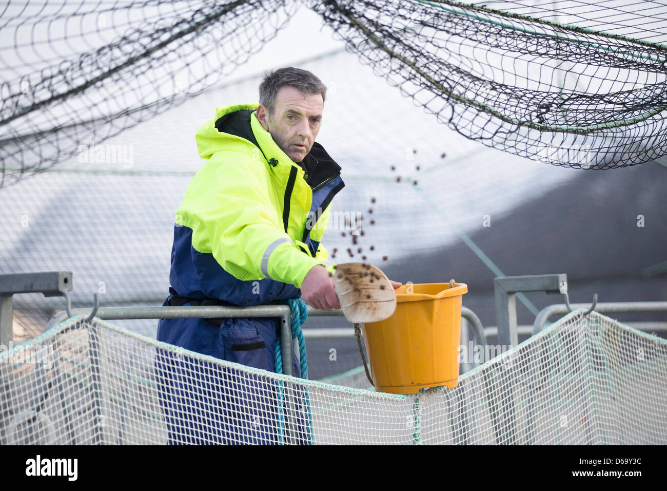 Worker on salmon farm in rural lake Stock Photo - Alamy