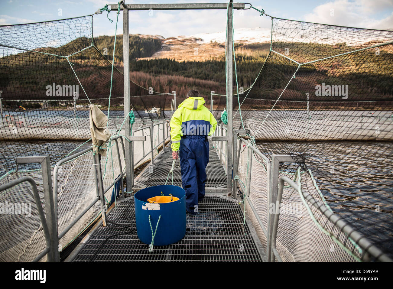 Worker at salmon farm in rural lake Stock Photo - Alamy