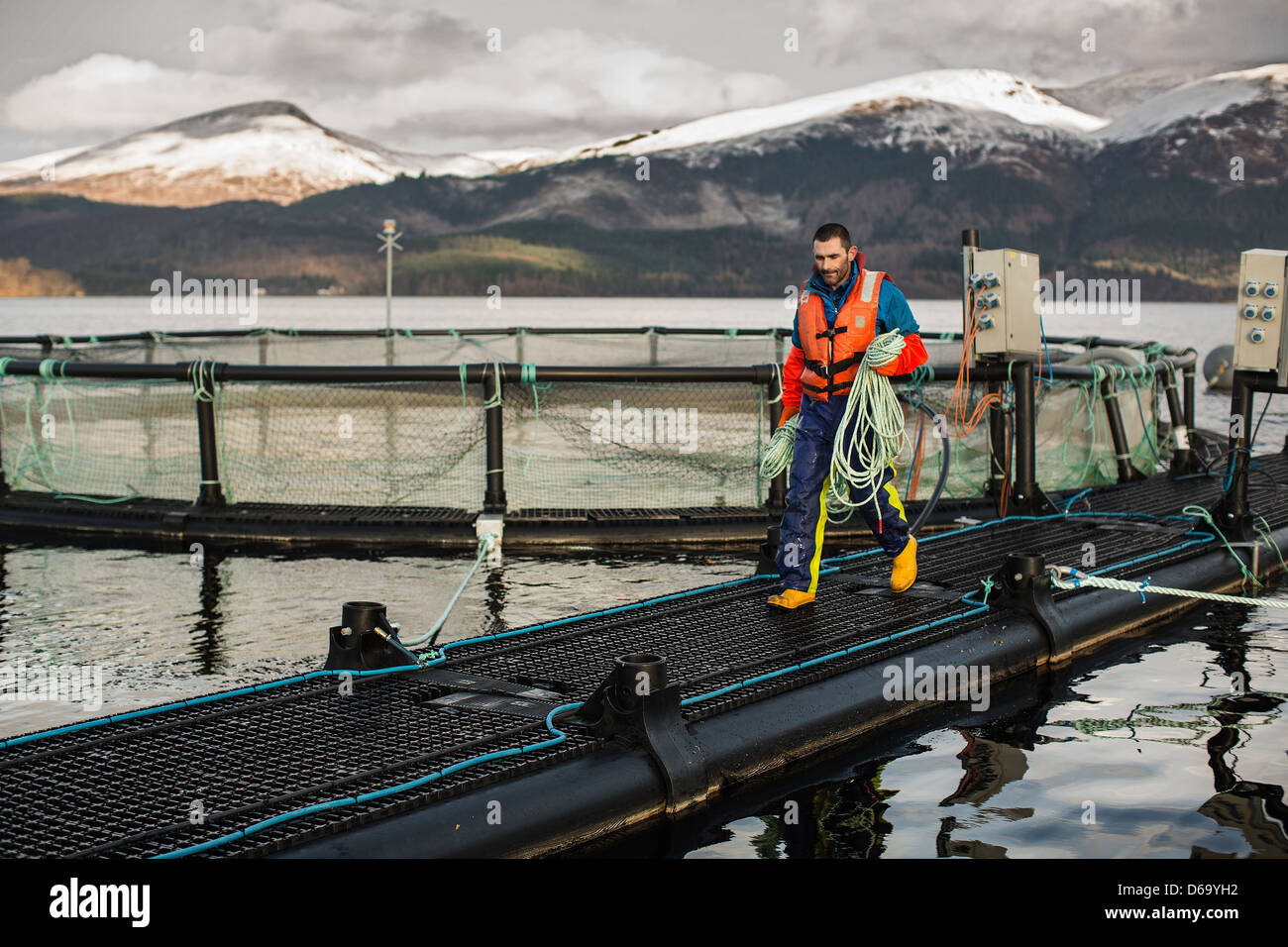 Worker at salmon farm in rural lake Stock Photo - Alamy