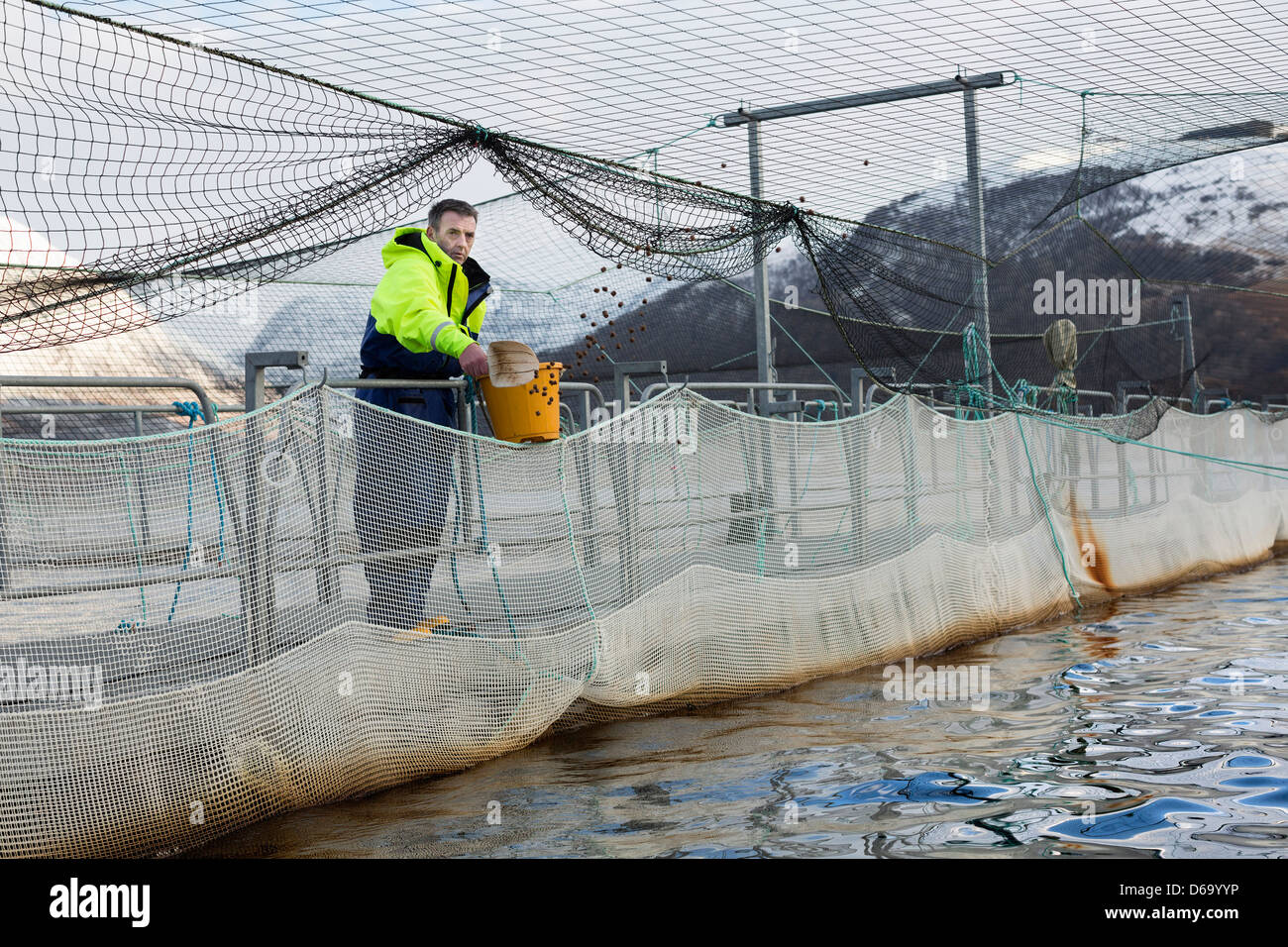 Fish farm feeding hi-res stock photography and images - Alamy