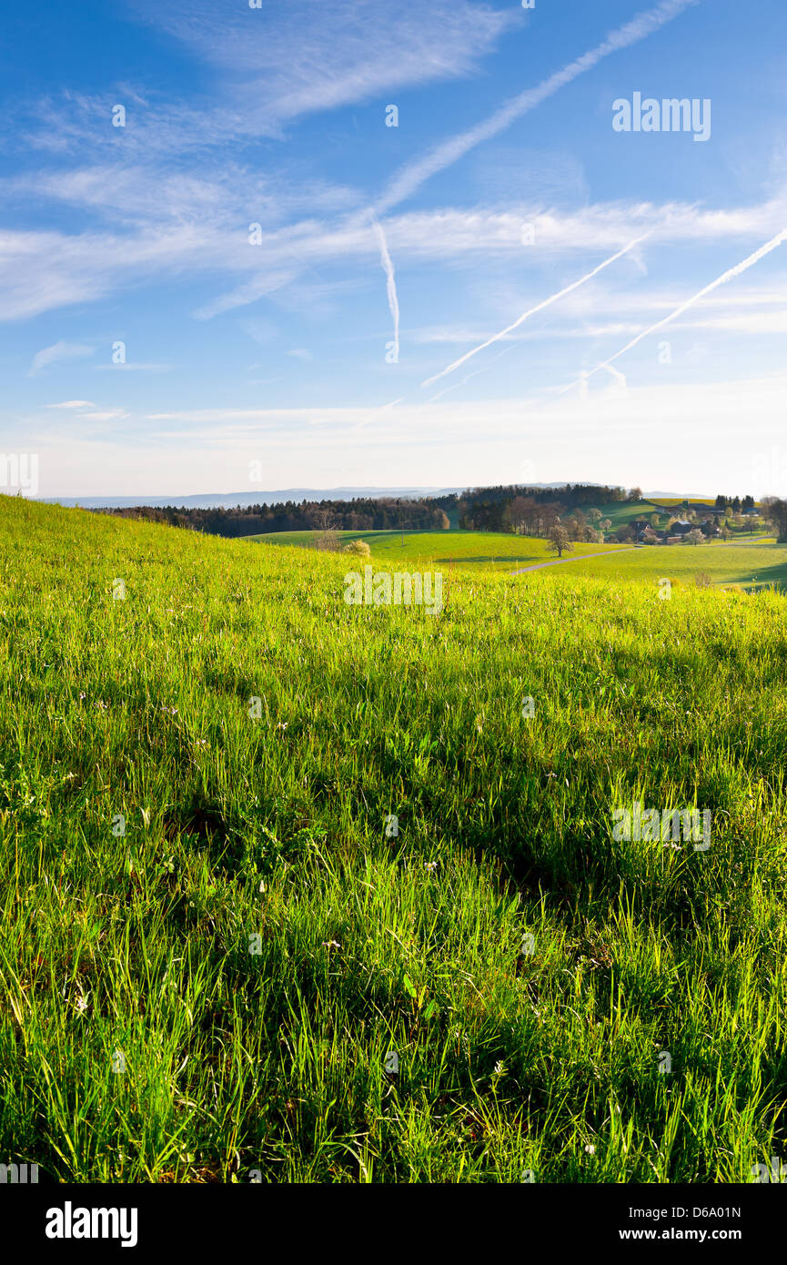 The green pastures hi-res stock photography and images - Alamy